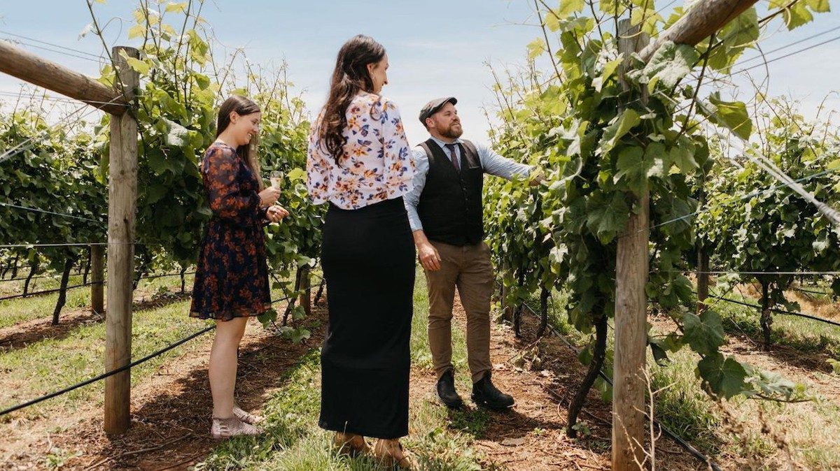 The Best Winery Experiences | Dream with Luxury Escapes