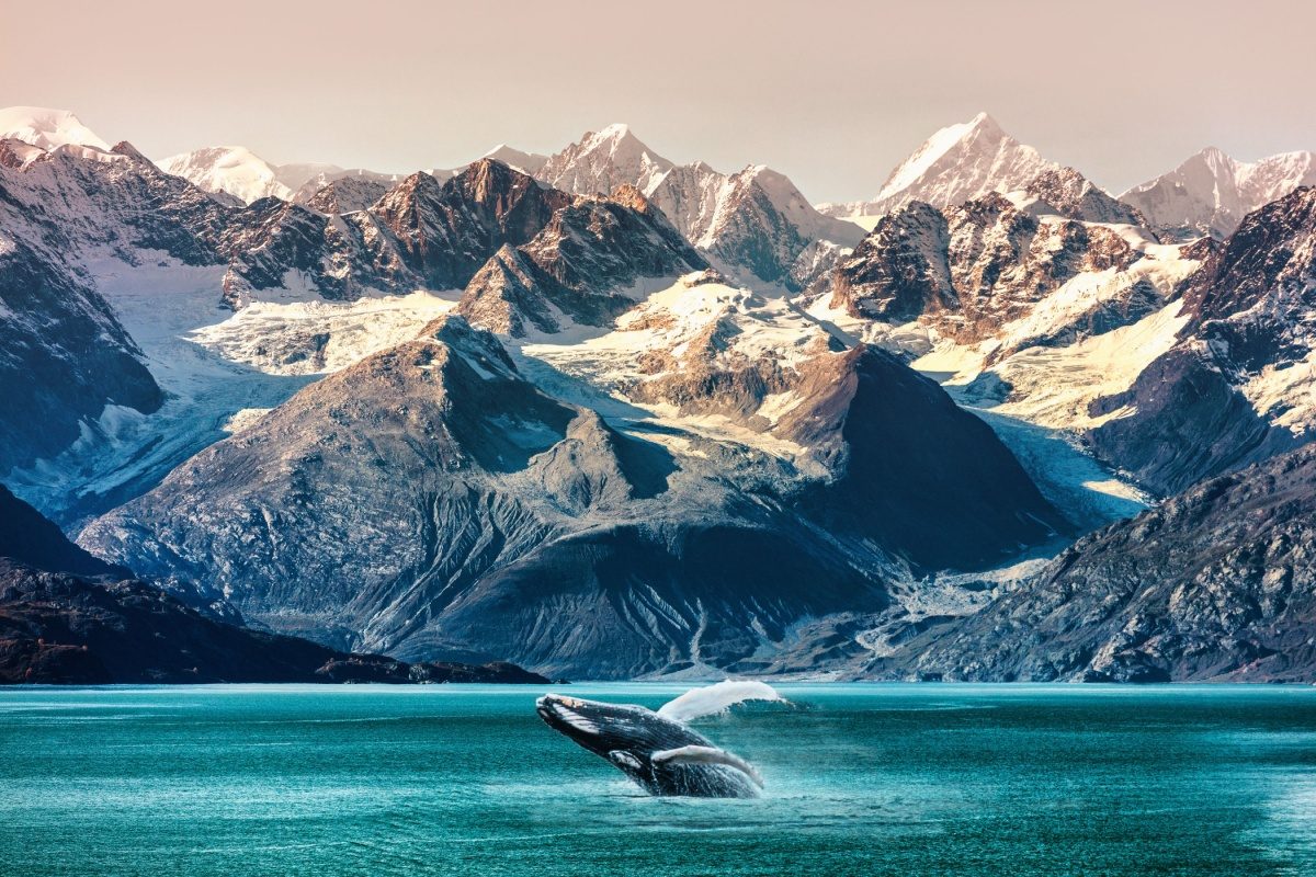 Australian Winter Holiday Guide | Dreamy by Luxury Escapes