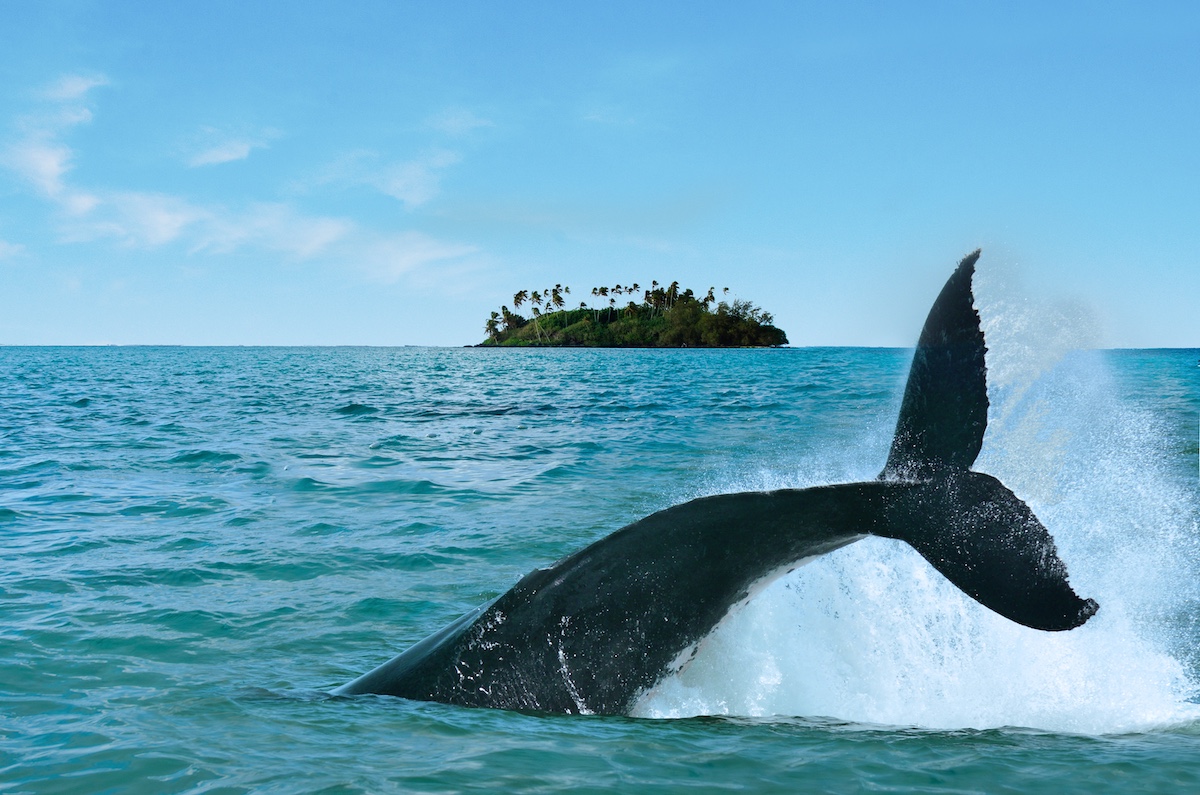 Cook Islands Guide: When to Go, What to Do | Luxury Escapes
